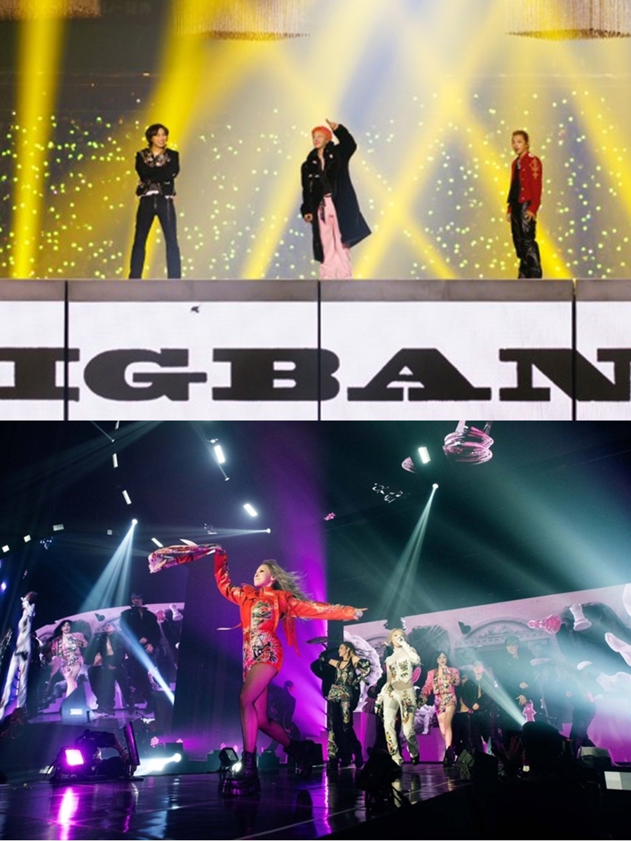 "피는 못 속여" YG DNA, 가요계 점령 [2024연말결산]