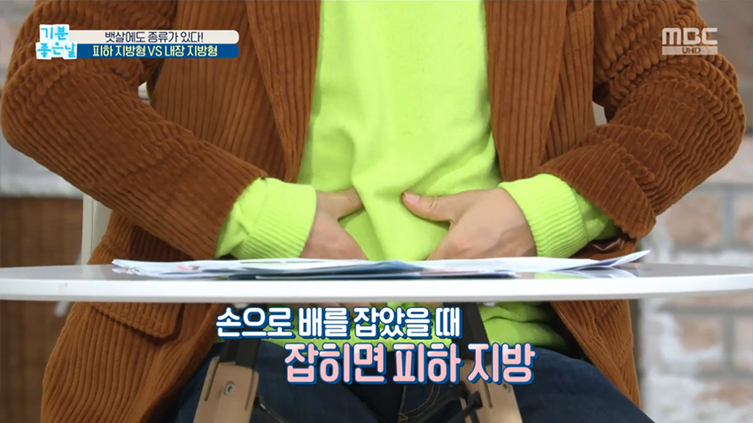 뱃살에도 종류가 있다 피하 지방형 Vs 내장 지방형