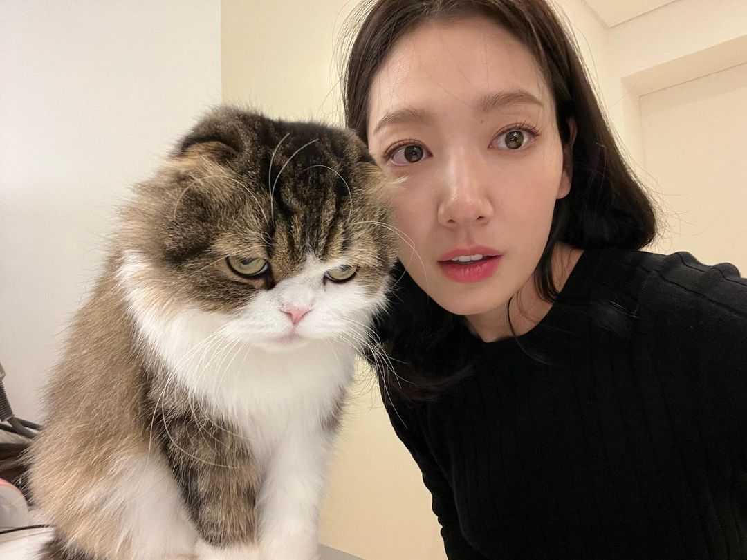 최태준♥ 박신혜 출산 후 여전히 아름다운 비주얼…청순美 자랑 [인스타]