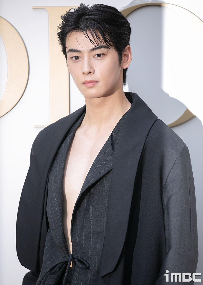 [TV톡] 차은우, 스스로 증명한 가치…팬들이 선정한 최고의 '남자배우'